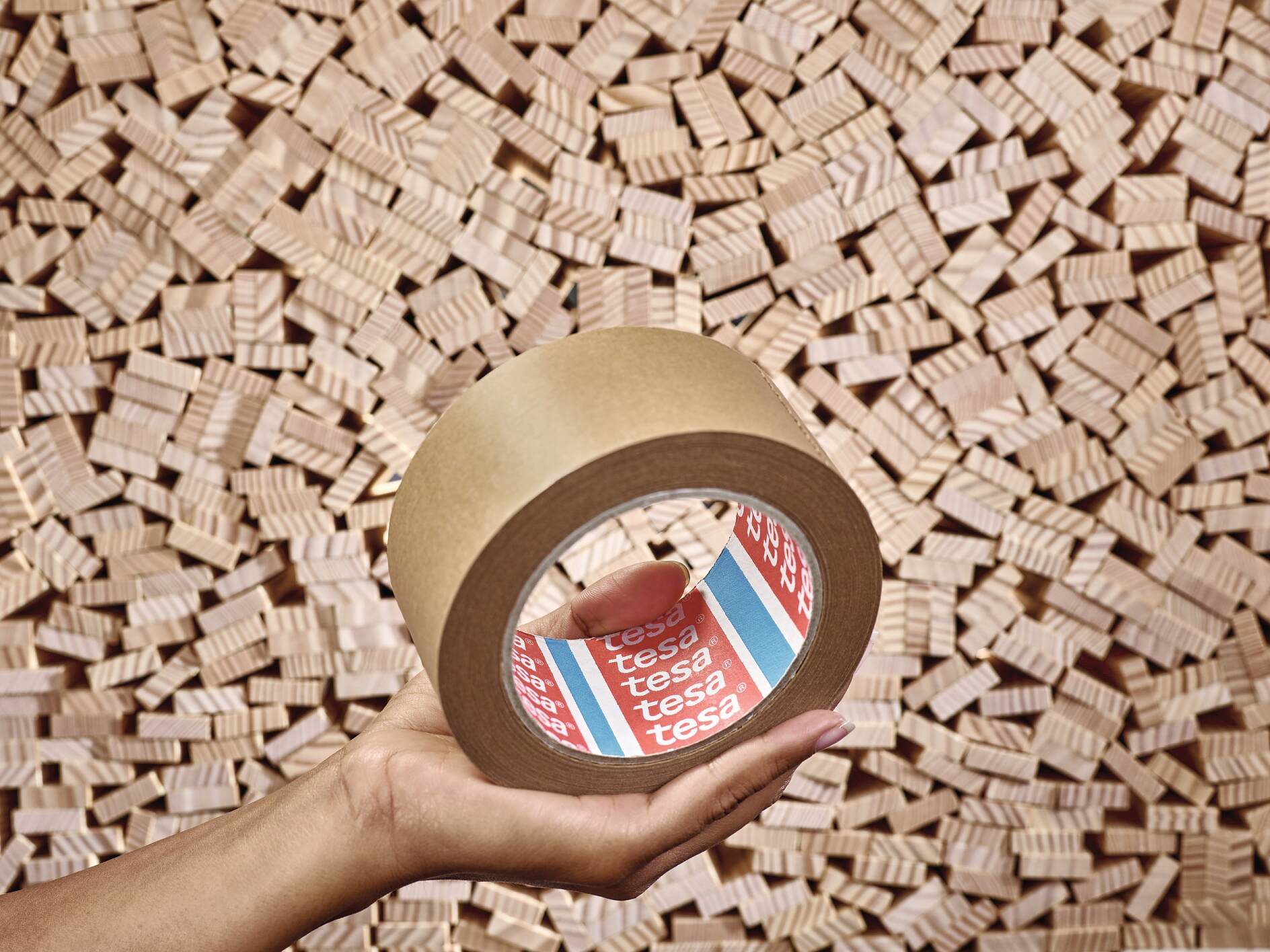 TESA® 4513 - Polintesa